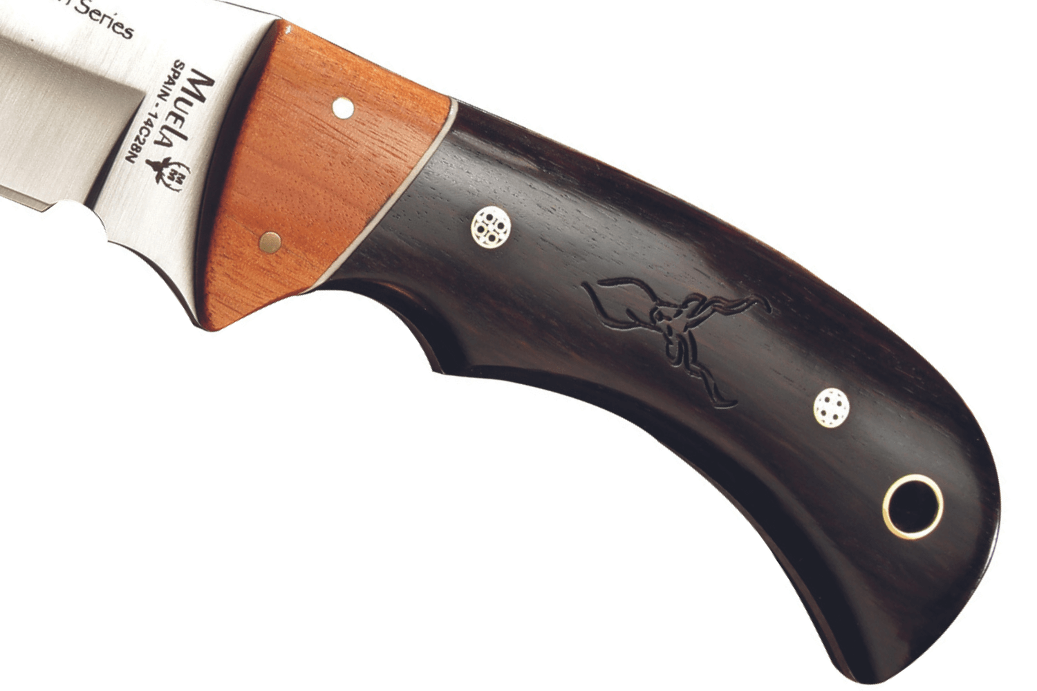 Muela Kudu 9278 - Couteau en édition limitée