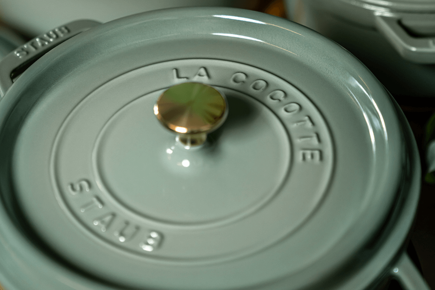 Staub cocotte ronde en fonte émaillé couleur Eucalyptus